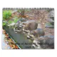 12 Months of Adorable Raccoons Calendar 2016 | Zazzle