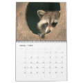 12 Months of Adorable Raccoons Calendar 2016 | Zazzle