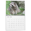 12 Months of Adorable Raccoons Calendar 2016 | Zazzle