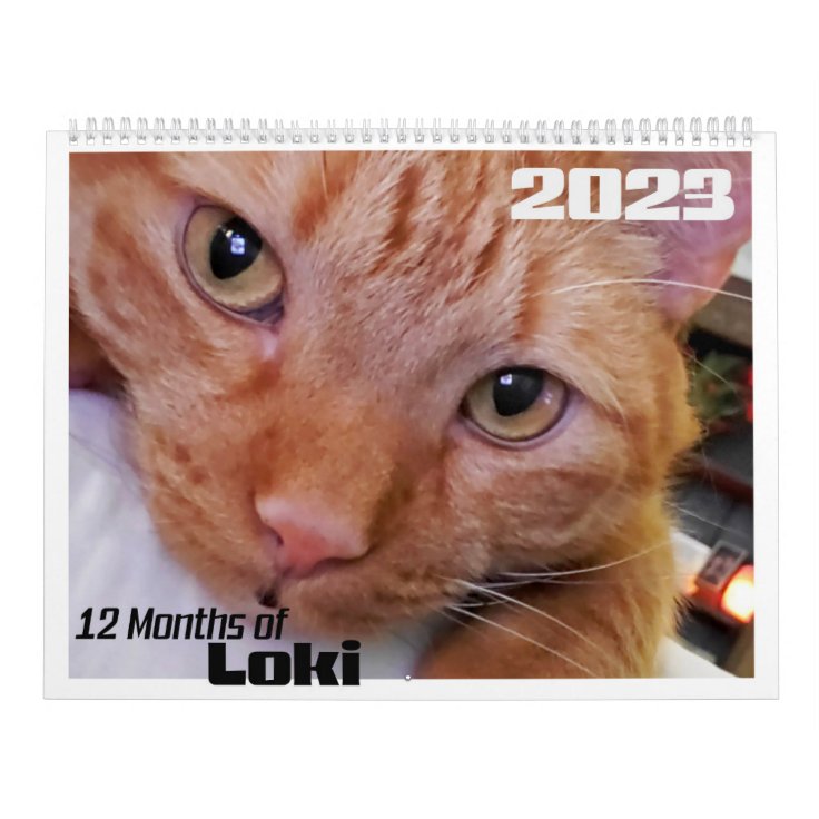 12 Months of Loki an Orange Tabby Cat Calendar | Zazzle