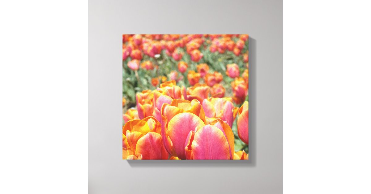 12x12 canvas art print Tulip Flowers square canvas | Zazzle