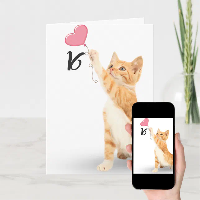 16th birthday tabby cat card | Zazzle