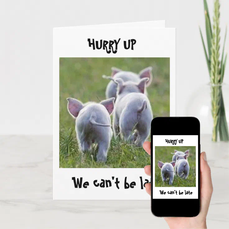 **16th BIRTHDAY WISHES FROM SILLY PIGS** Card | Zazzle