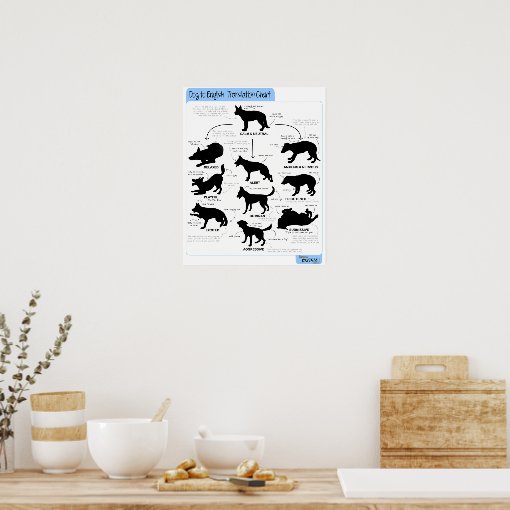 16x20 Body Language Poster | Zazzle