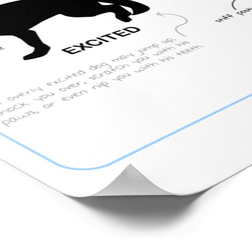 16x20 Body Language Poster | Zazzle