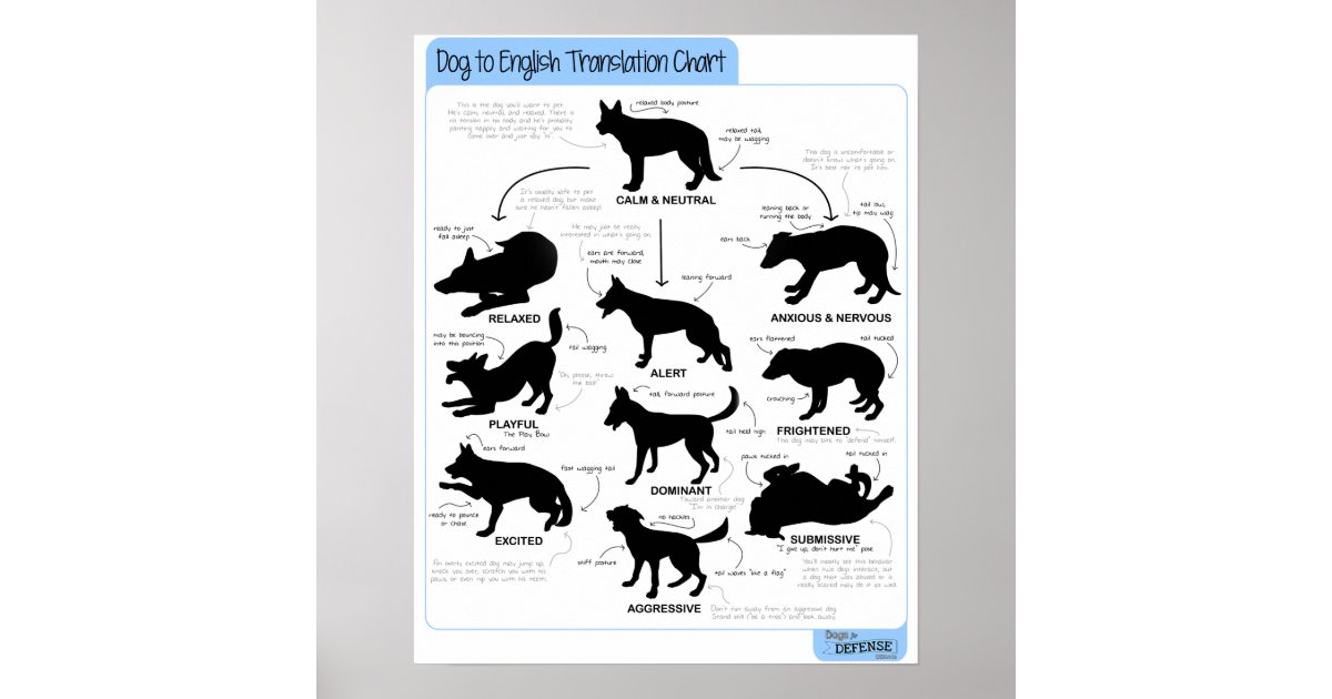 16x20 Body Language Poster | Zazzle