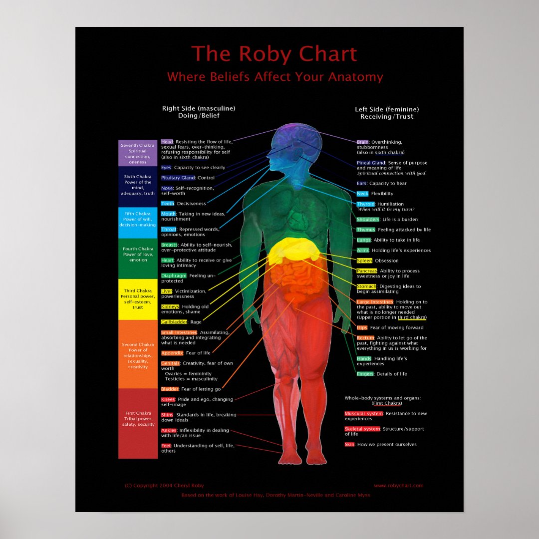 16x20" Roby Chart:Where beliefs affect anatomy Poster | Zazzle