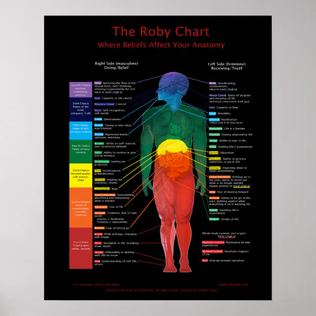 16x20" Roby Chart:Where beliefs affect anatomy Poster | Zazzle