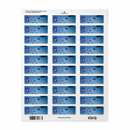 173rd ABN BDE Airborne Brigade Sky Soldiers Vets Label | Zazzle