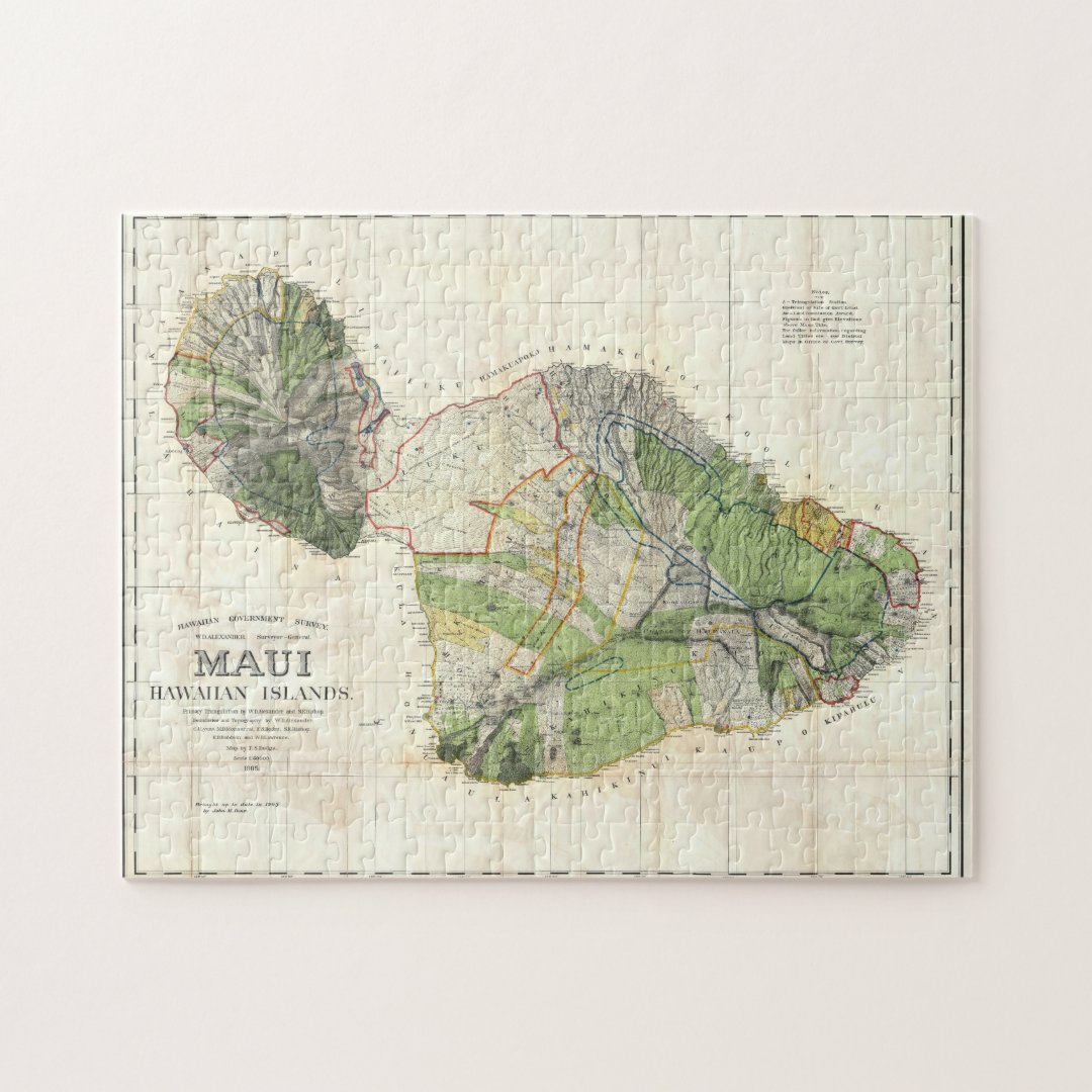 1885 De Witt Alexander Map of Maui, Hawaii Jigsaw Puzzle | Zazzle