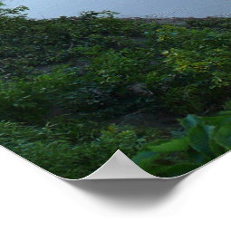 1886 Clements Stone Arch Bridge Poster | Zazzle