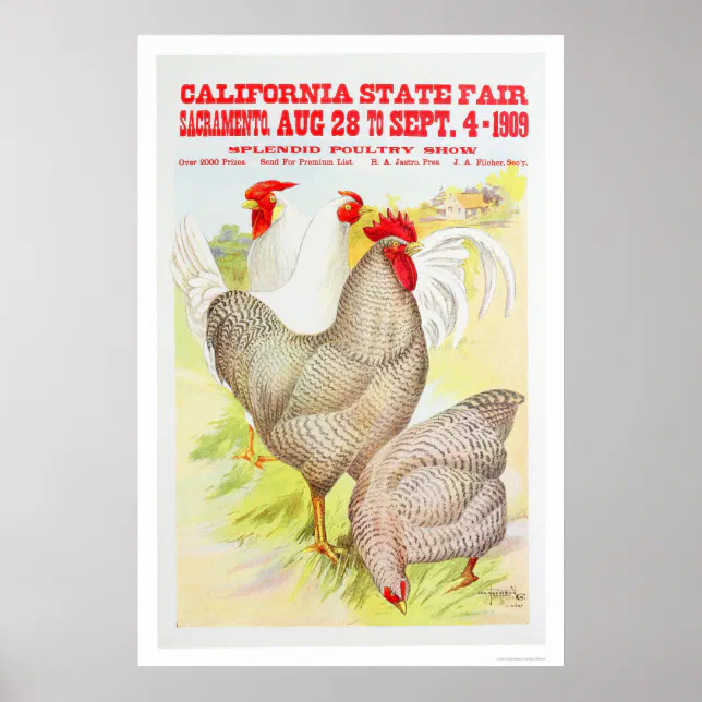 1909 California State Fair Poster | Zazzle