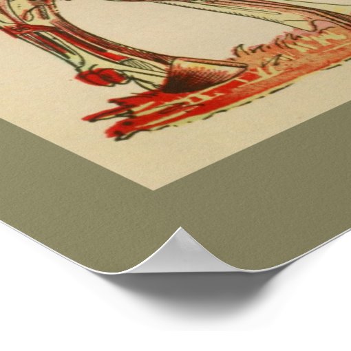 1917 Vintage Cow Muscle Anatomy Chart | Zazzle