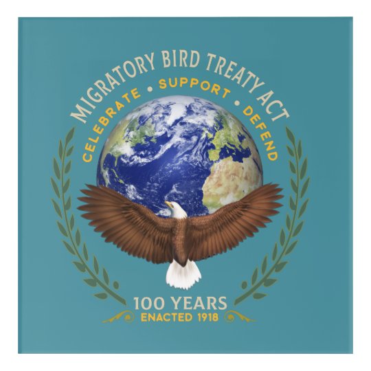 1918 Migratory Bird Treaty Act - 100 Years Old Acrylic Print | Zazzle.com