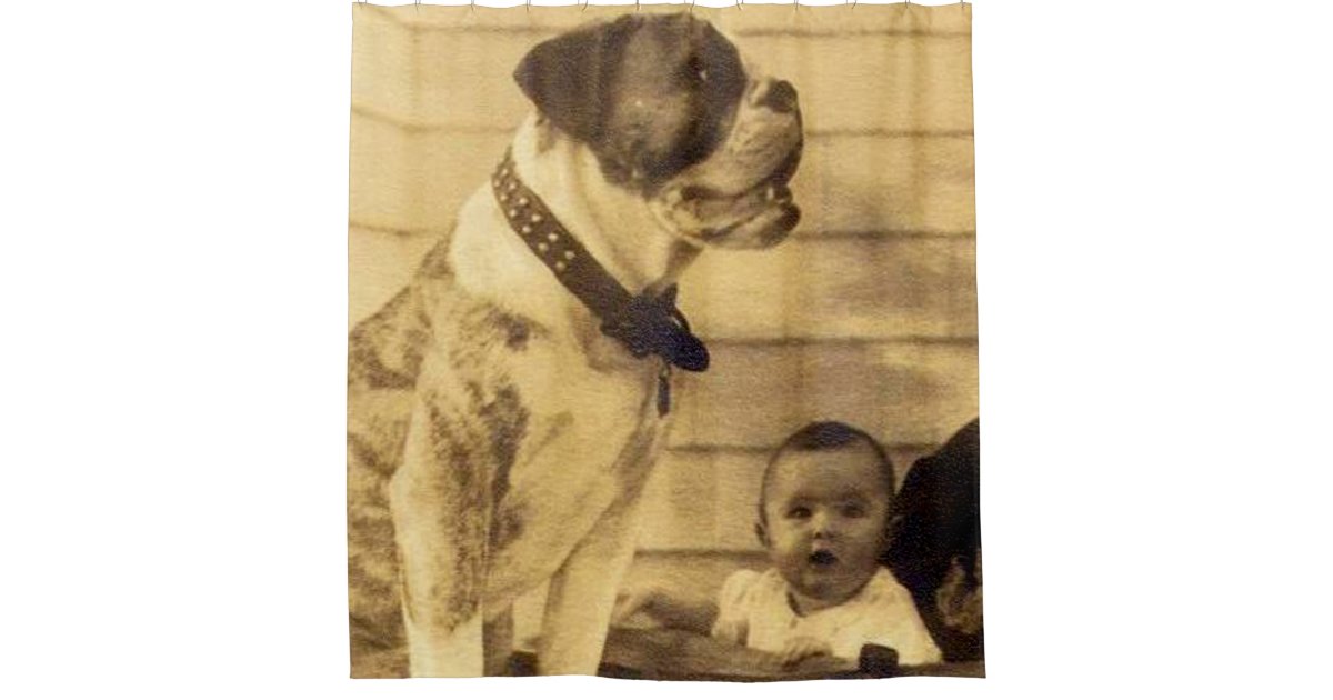 1920s pitbull guards baby shower curtain | Zazzle