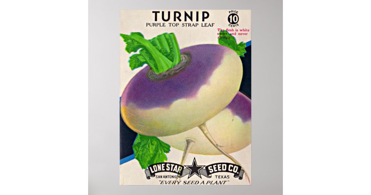 1950s seed packet turnips poster | Zazzle