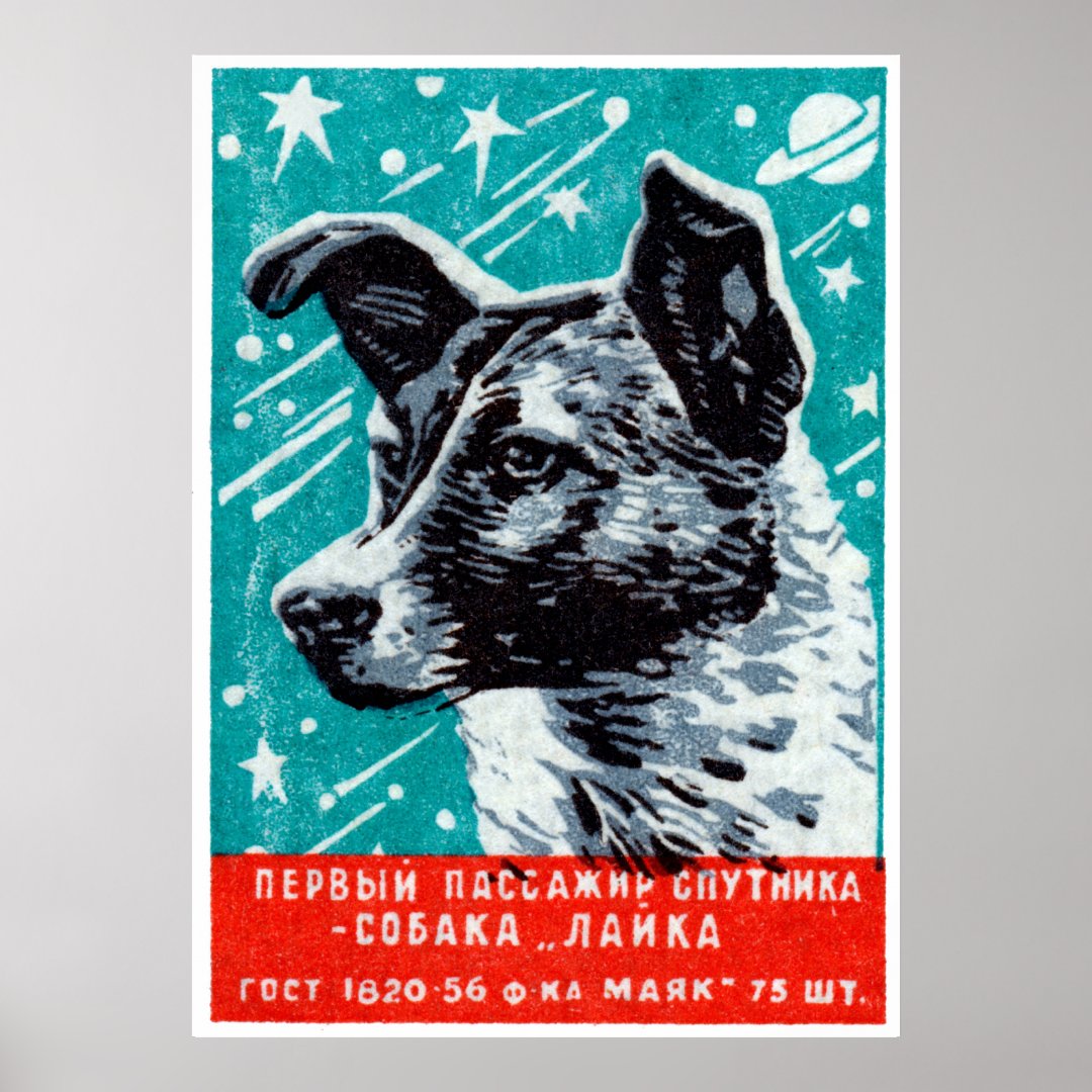 1957 Laika the Space Dog Poster | Zazzle