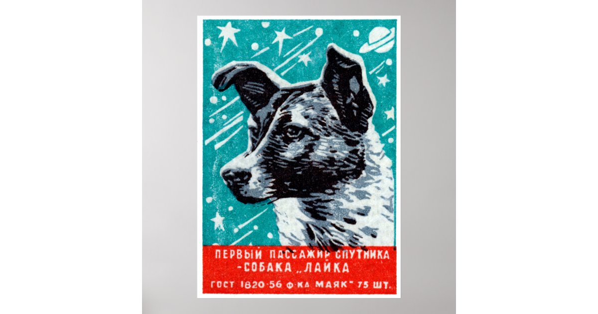 1957 Laika the Space Dog Poster | Zazzle