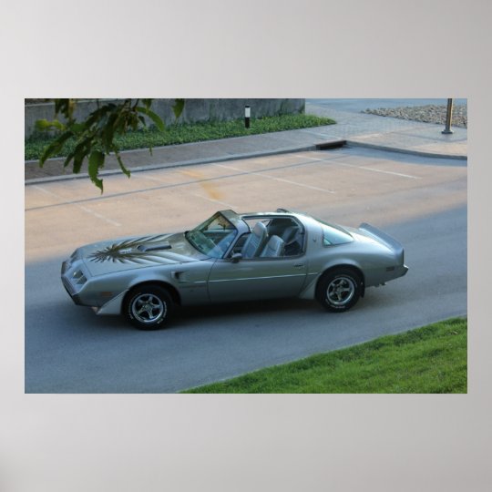 1979 10th anniversary Trans Am Poster | Zazzle.com