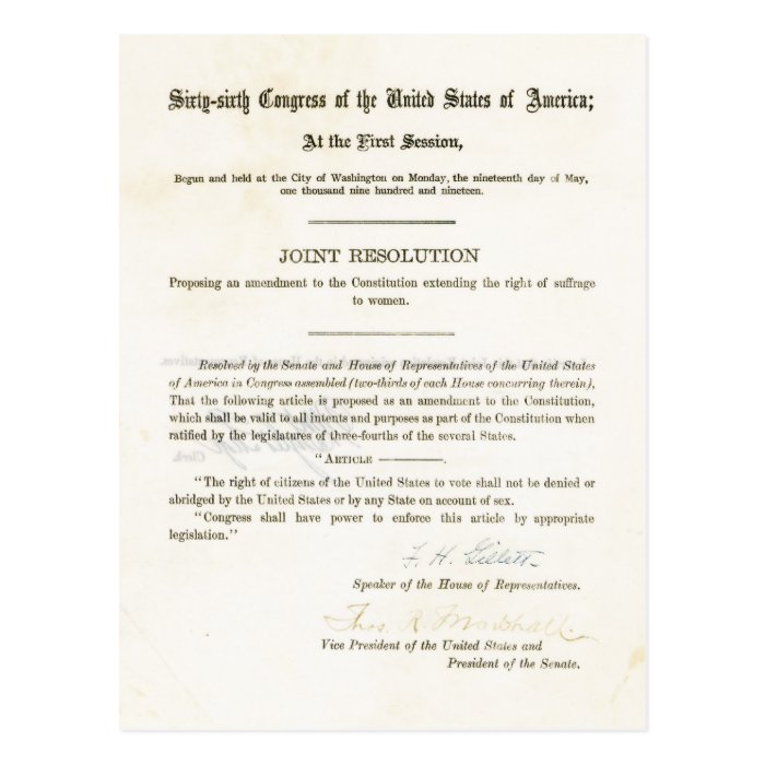 19th Amendment to the United States Constitution Postcard | Zazzle