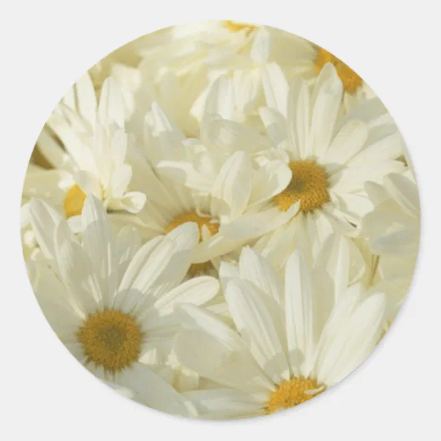 1 1/2 Inch Round Daisy Stickers | Zazzle