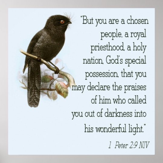 1 Peter 2:9 Christian Scripture Poster Bible Verse | Zazzle.com