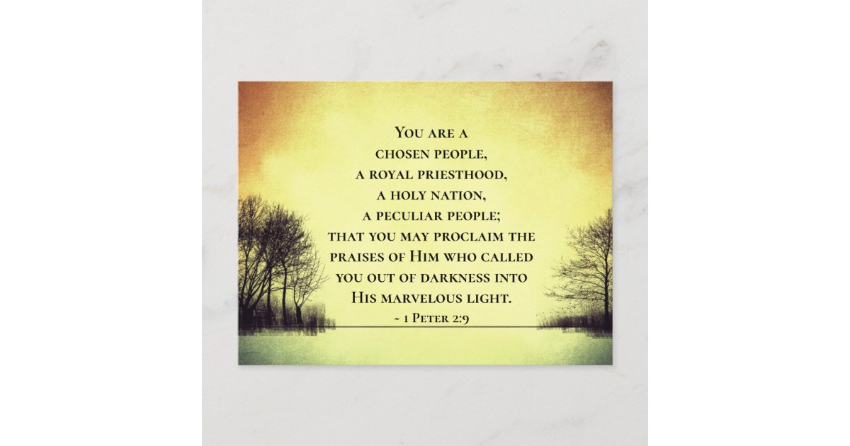 1 Peter 2:9 You are a Chosen People, Bible Postcard | Zazzle