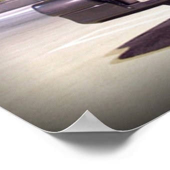 1g DSM Poster | Zazzle