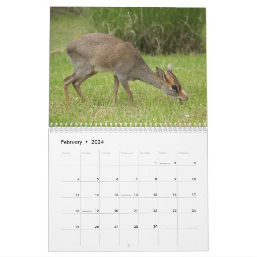 2013 Amazing Animals Wild Animal 12 Month Calendar | Zazzle