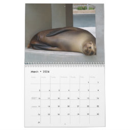 2013 Amazing Animals Wild Animal 12 Month Calendar | Zazzle