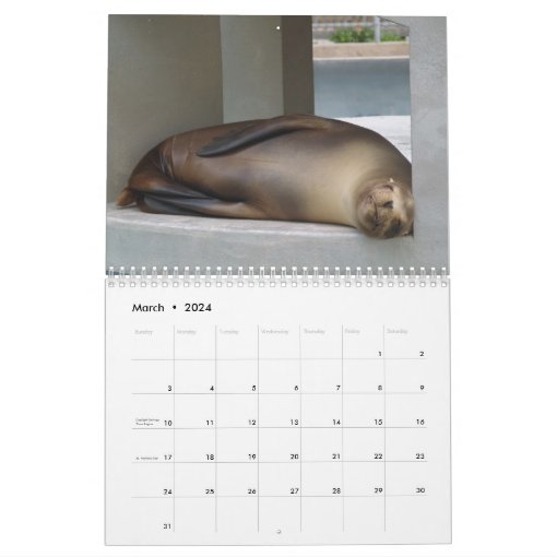 2013 Amazing Animals Wild Animal 12 Month Calendar | Zazzle