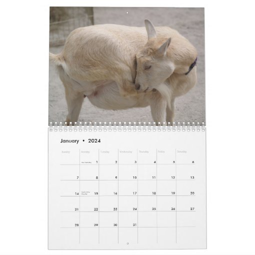 2013 Amazing Animals Wild Animal 12 Month Calendar | Zazzle