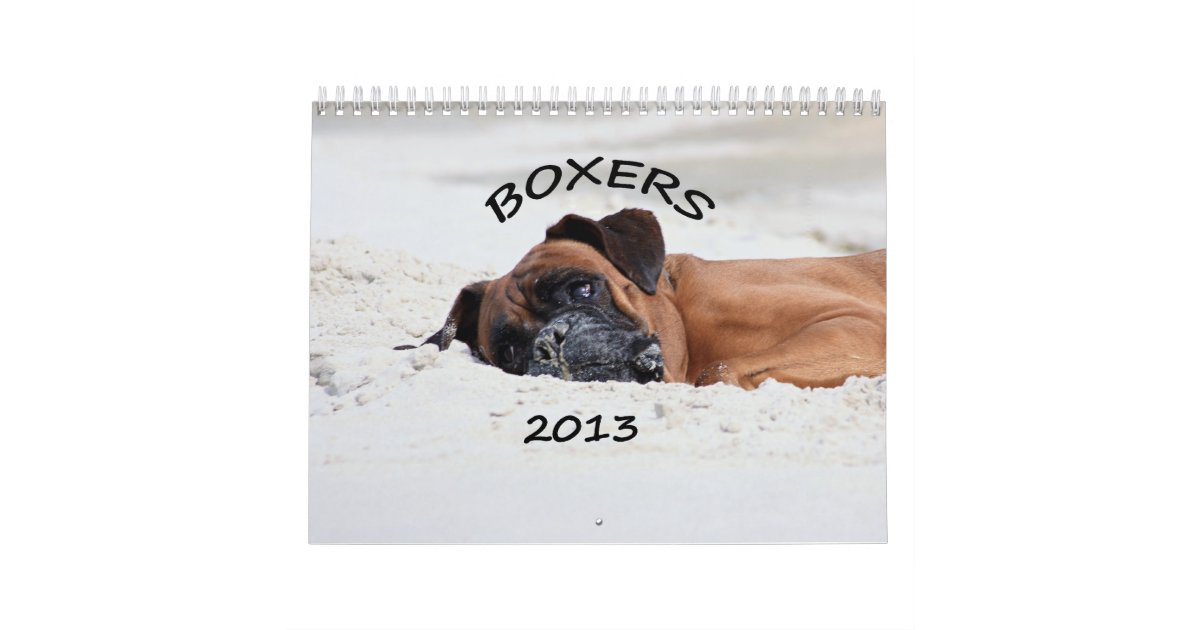 2013 Boxer Calendar | Zazzle