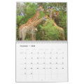 2014 Giraffe's love calendar | Zazzle