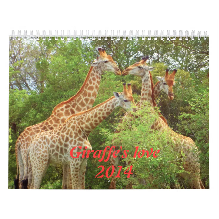 2014 Giraffe's love calendar | Zazzle
