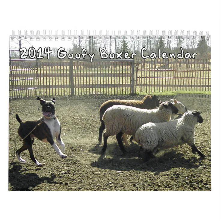 2014 Goofy Boxer Calendar | Zazzle