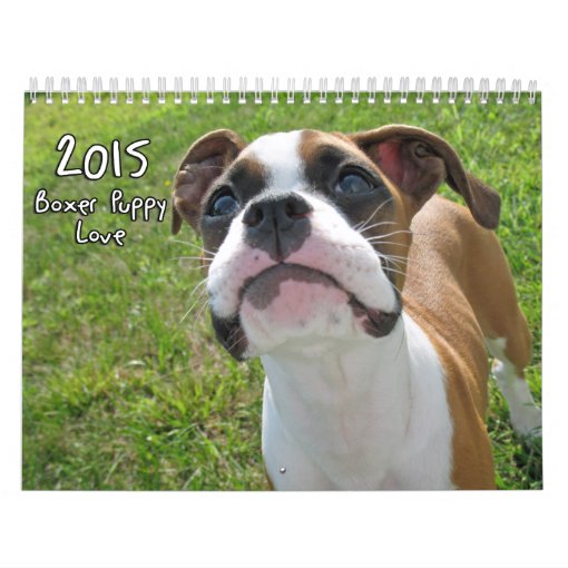 2015 Boxer Puppy Love Calendar | Zazzle