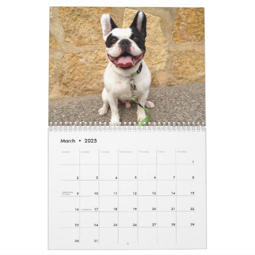 2015 Bubba Louie Calendar! Calendar | Zazzle