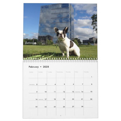 2015 Bubba Louie Calendar! Calendar | Zazzle