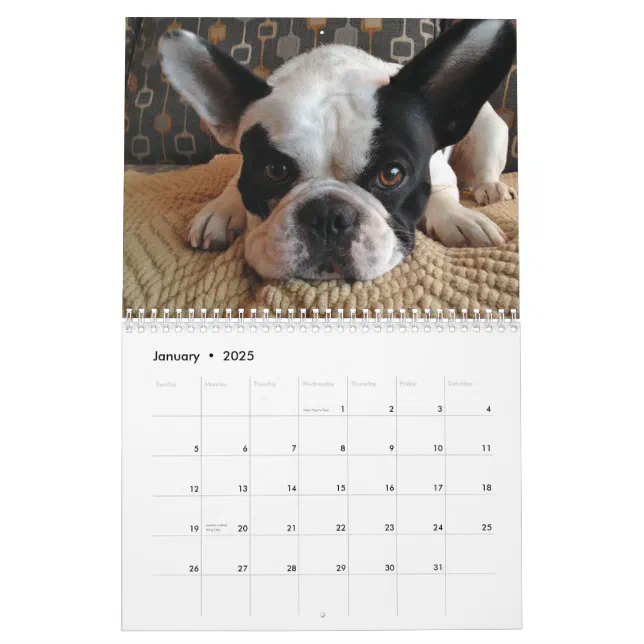 2015 Bubba Louie Calendar! Calendar | Zazzle