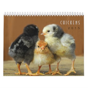 2015 Chickens Wall Calendar | Zazzle
