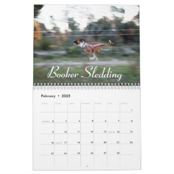 2015 Special Edition Boxer Performance Calendar | Zazzle