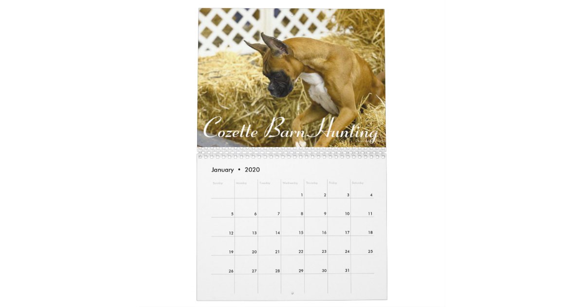 2015 Special Edition Boxer Performance Calendar | Zazzle.com