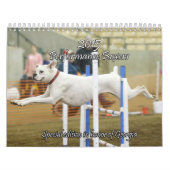 2015 Special Edition Boxer Performance Calendar | Zazzle