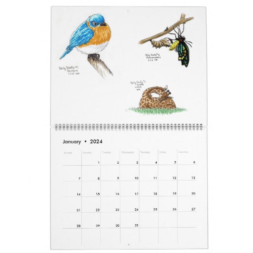 2016 Daily Doodle Calendar | Zazzle