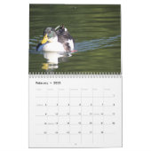 2016 Ducks Calendar | Zazzle