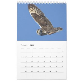 2016 Owls Wall Calendar for Bird Lovers | Zazzle