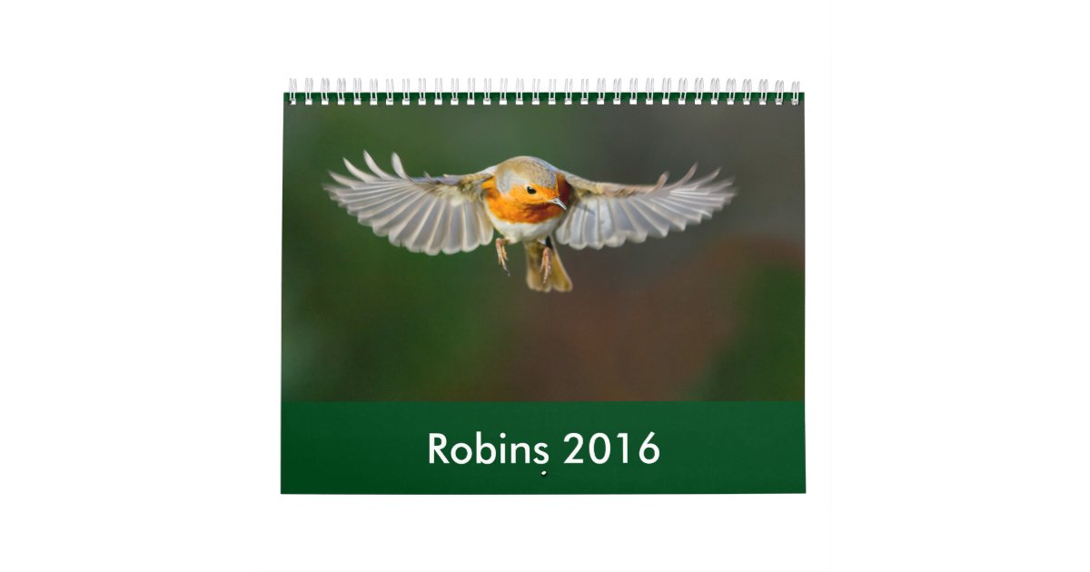 2016 Robin Calendar | Zazzle