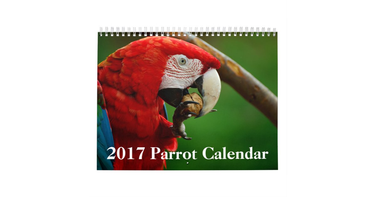 2017 Parrot Calendar | Zazzle.com