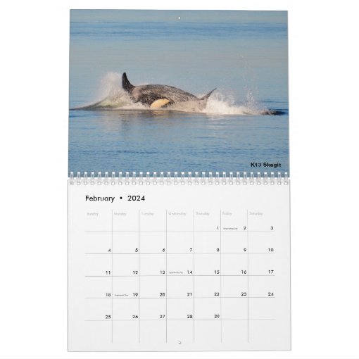 2017 Southern Resident Killer Whale Calendar | Zazzle
